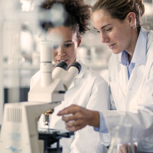Our Story | Zentek Ltd.