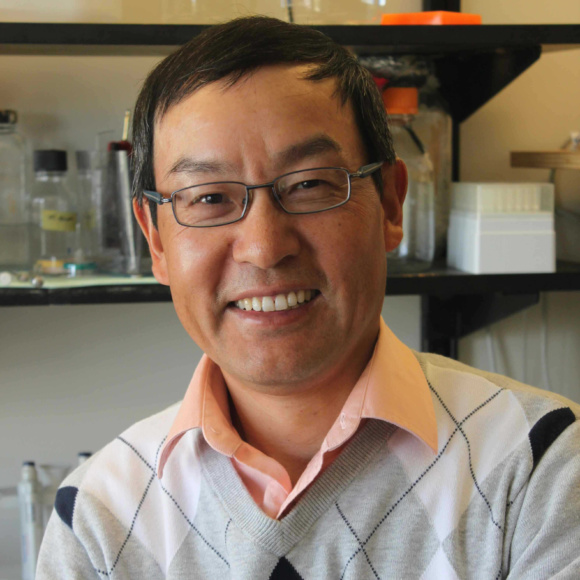 Board of Directors & Advisory Board | Zentek Ltd.